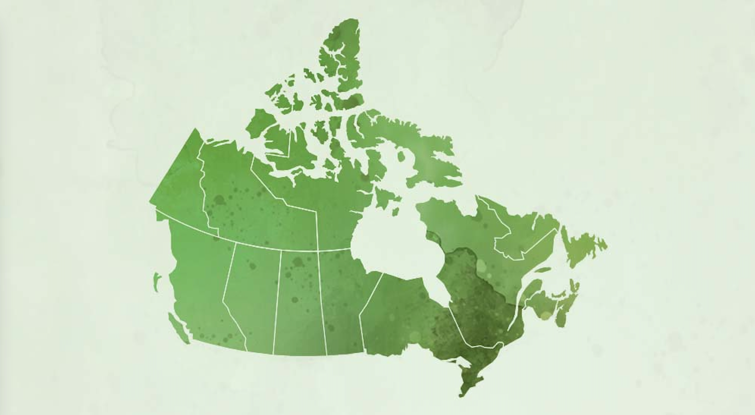 Celebrating National Indigenous Peoples Day across Turtle Island