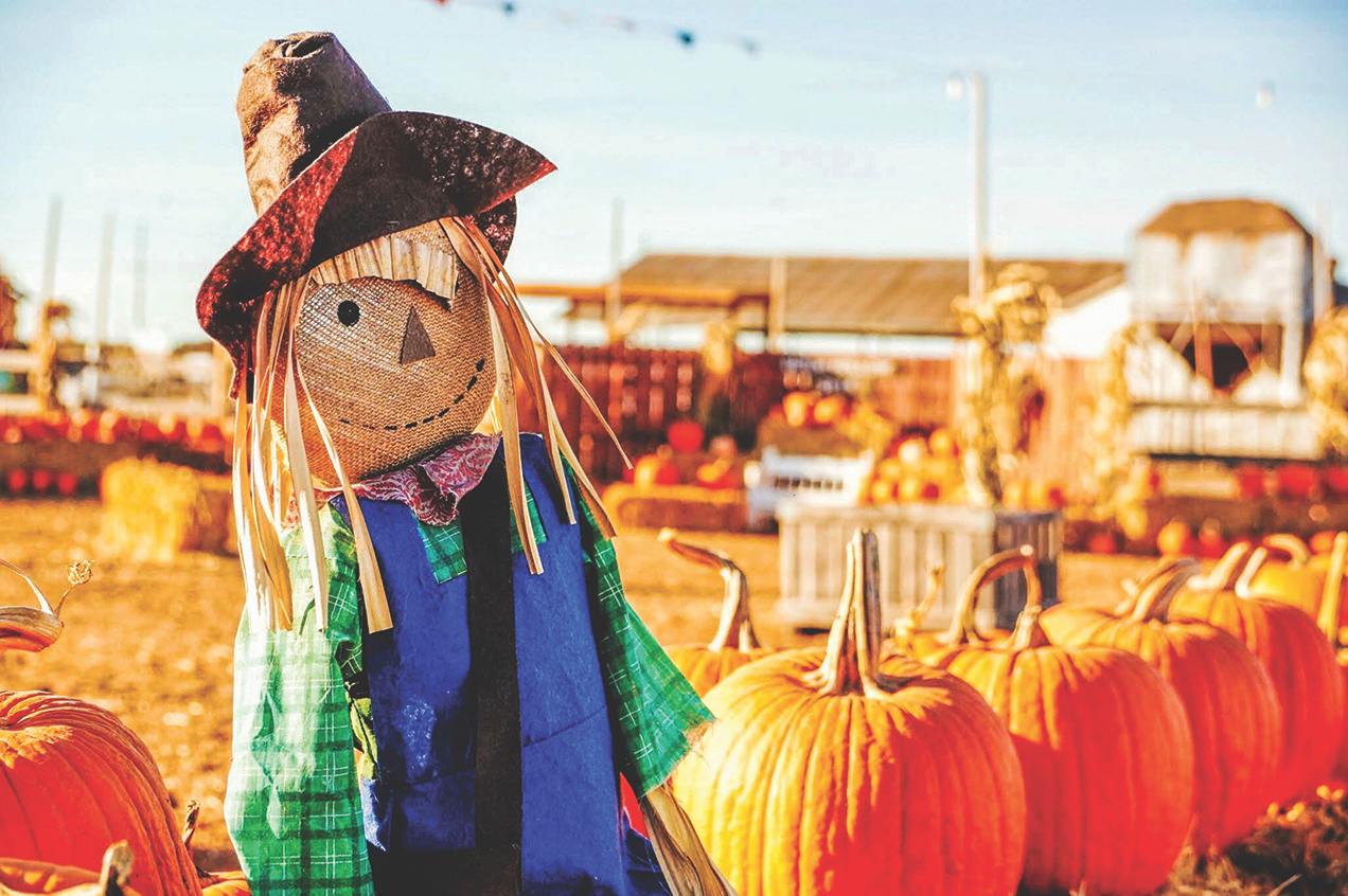 7 sights to see at fall harvest festivals